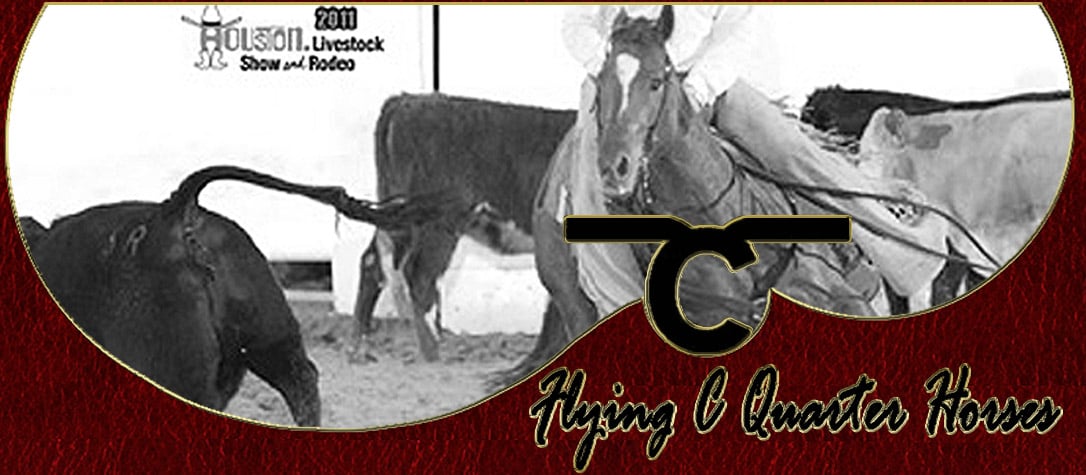 Flying C Quarter Horses