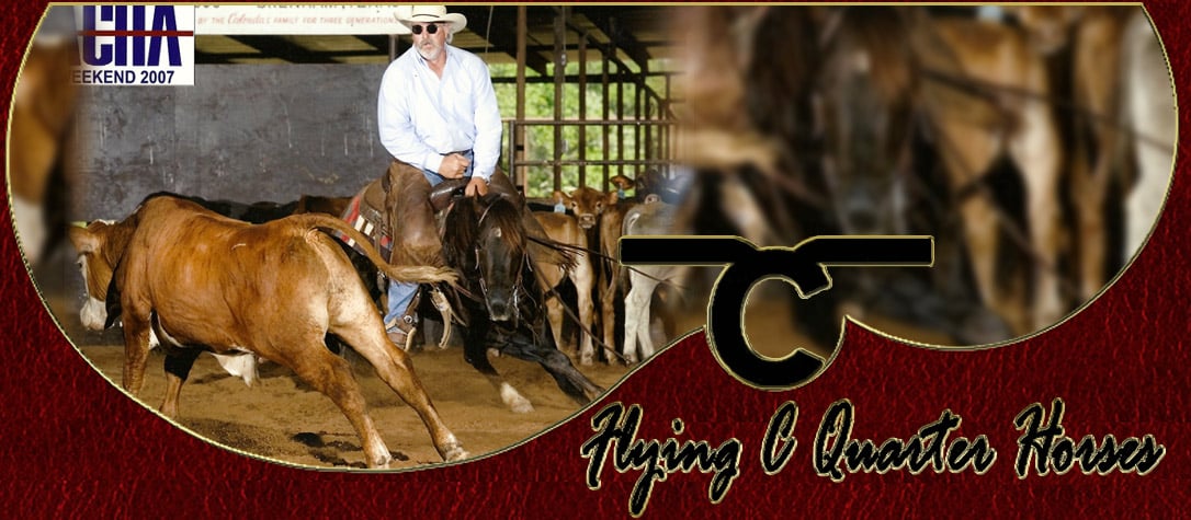 Flying C Quarter Horses