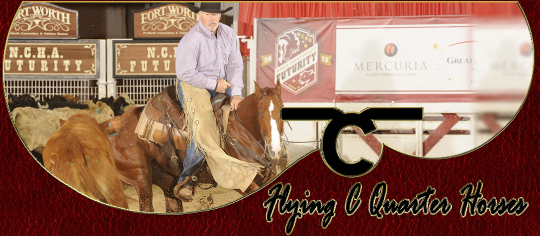 Flying C Quarter Horses