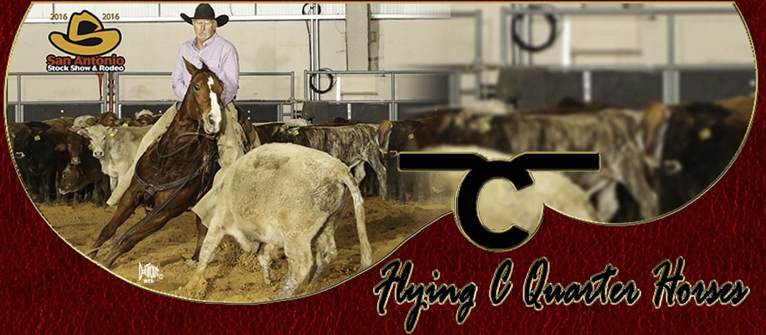 Flying C Quarter Horses